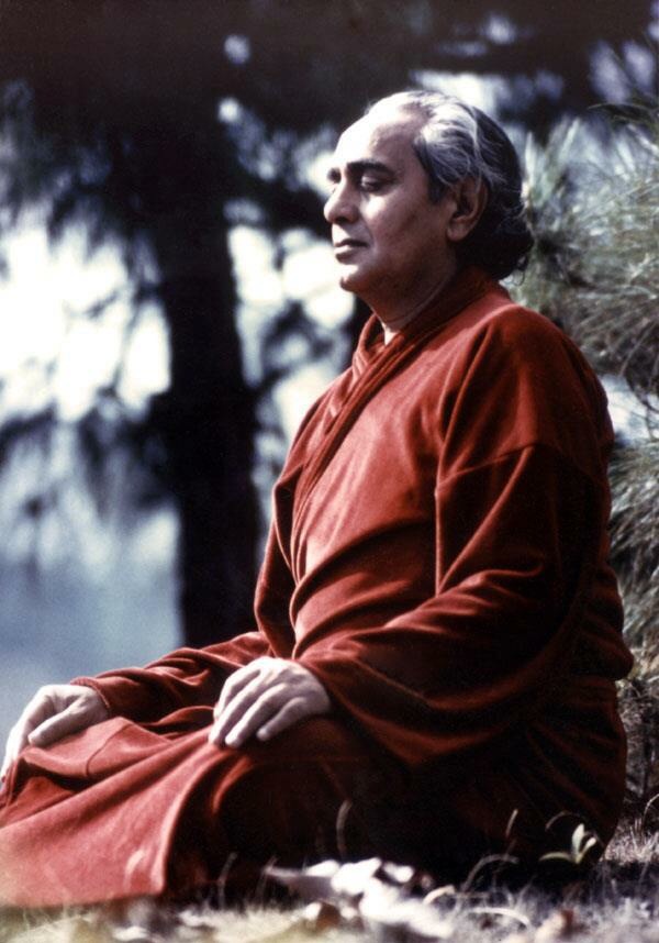 What is Meditation ? - Himalayan Meditation Institute